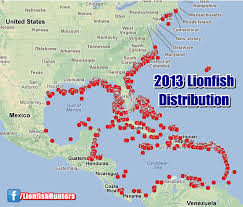 US GOM DSWG - Lionfish Symposium
